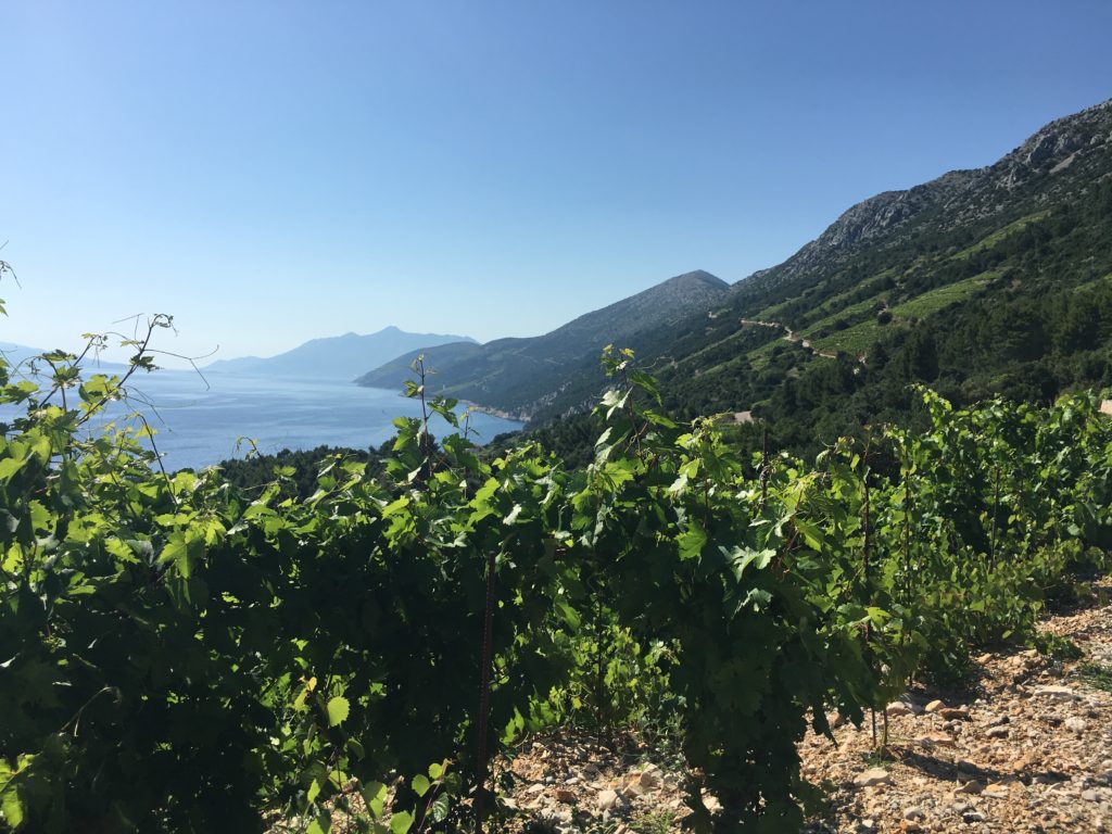 Slovenia / Croatia - LeChai.com